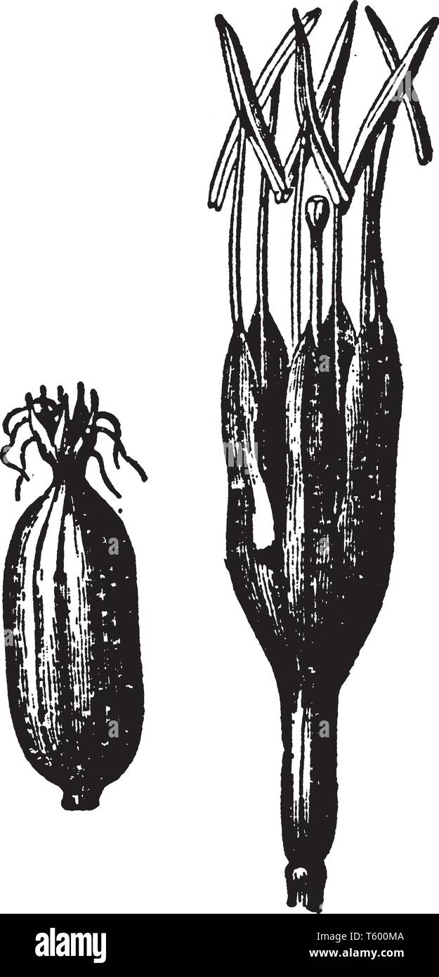 10 25 10 Stock Vector Images - Alamy