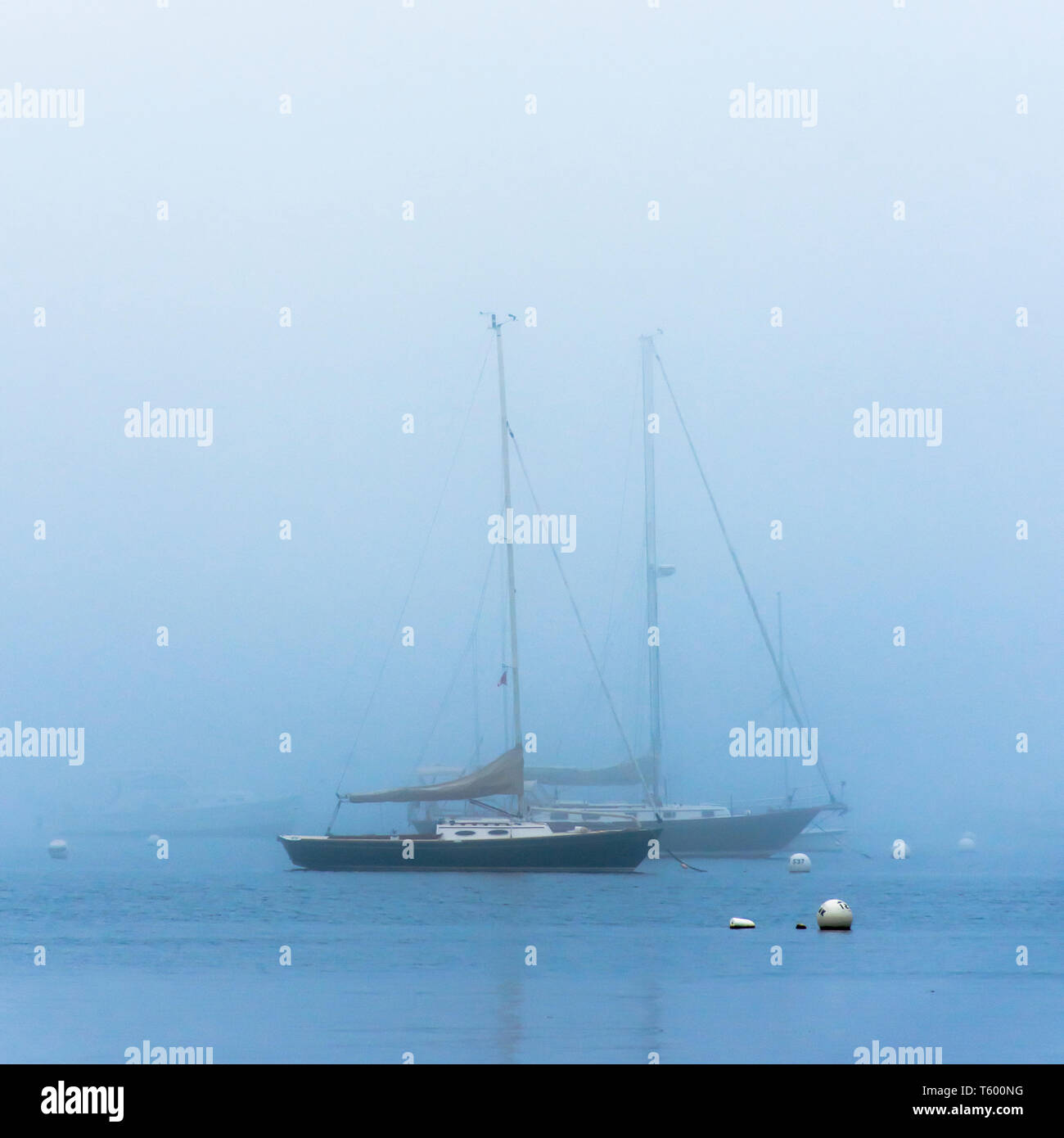 Fog harbor hi-res stock photography and images - Alamy
