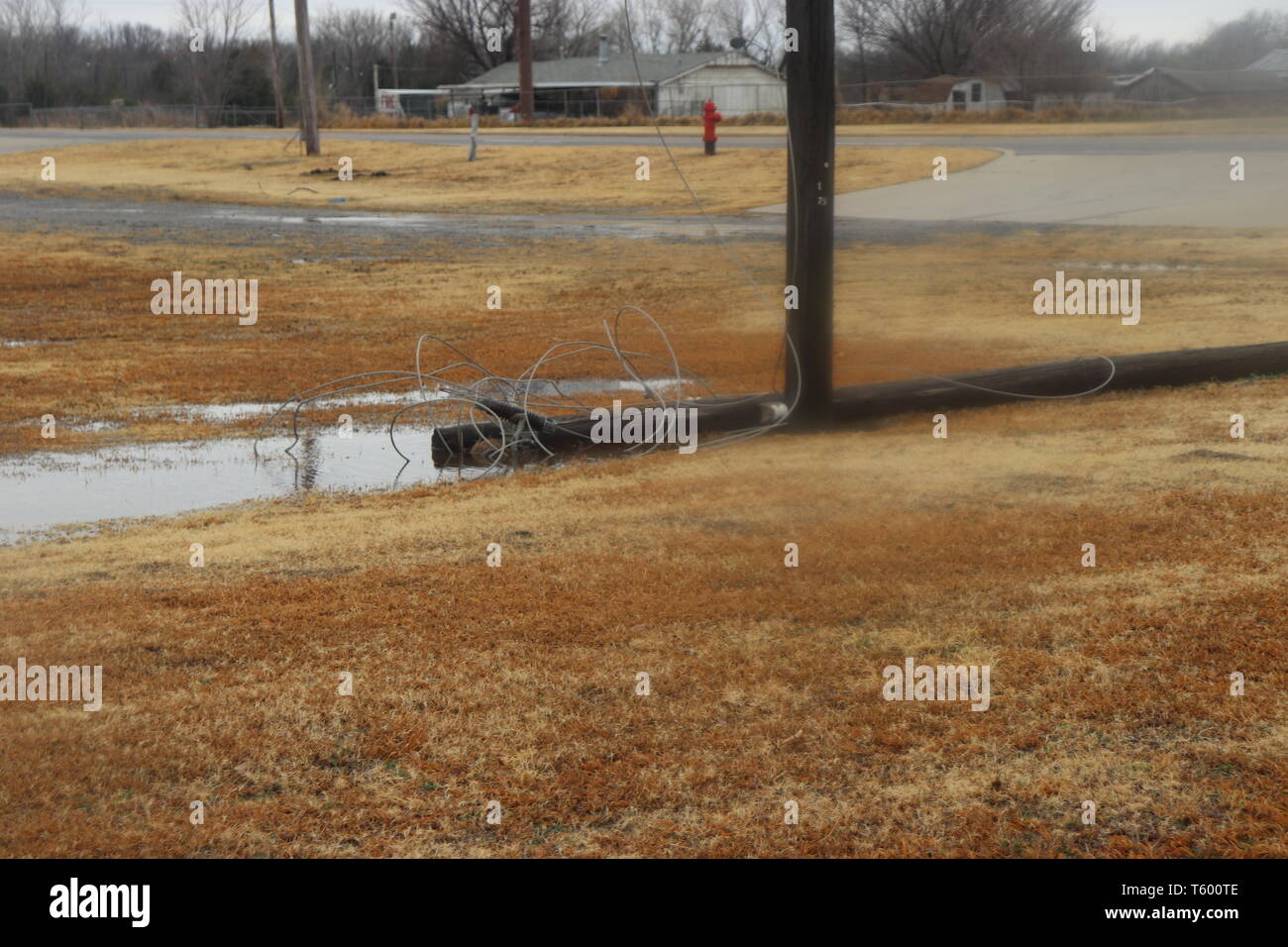 Down power pole in the water Stock Photo - Alamy