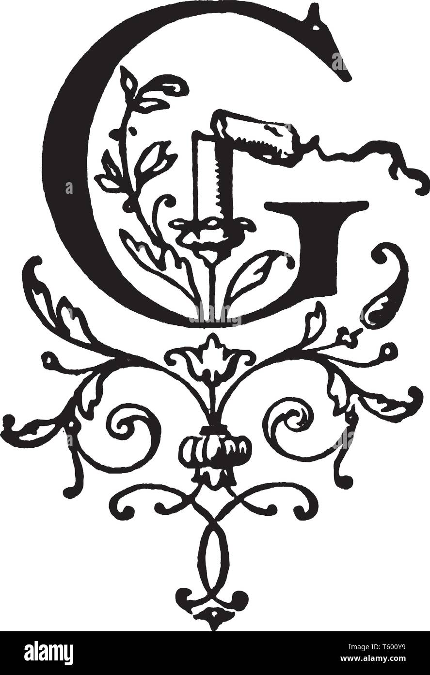 A floral and decorative capital letter G, vintage line drawing or ...