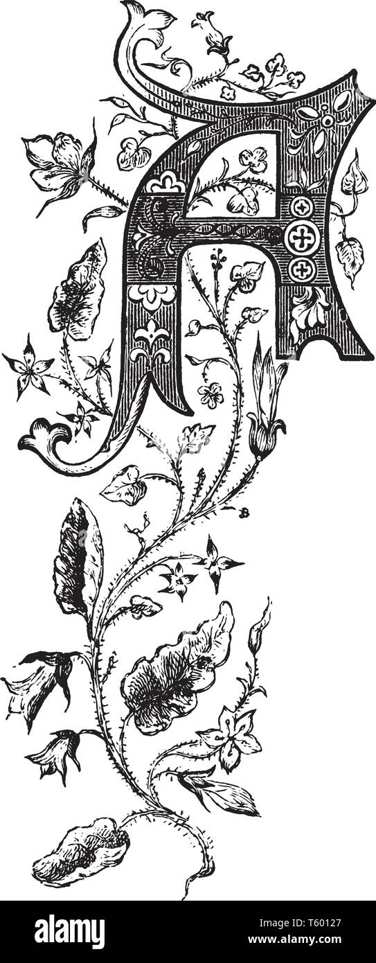 A decorative capital letter A, vintage line drawing or engraving ...
