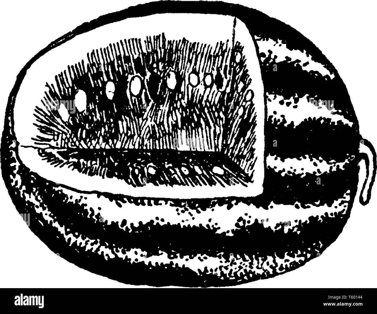 This image showing a inside of watermelon. The seeds are in the inside ...