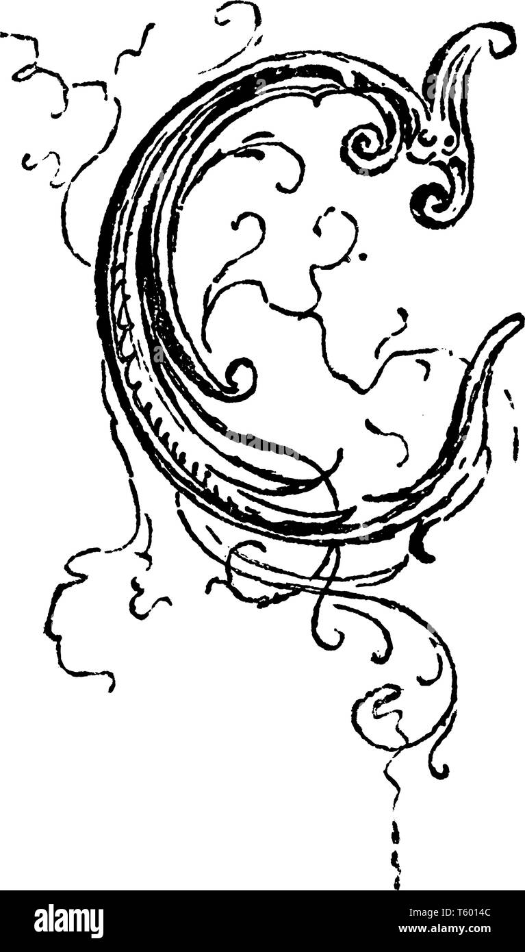 A decorative capital letter C with curls, vintage line drawing or ...