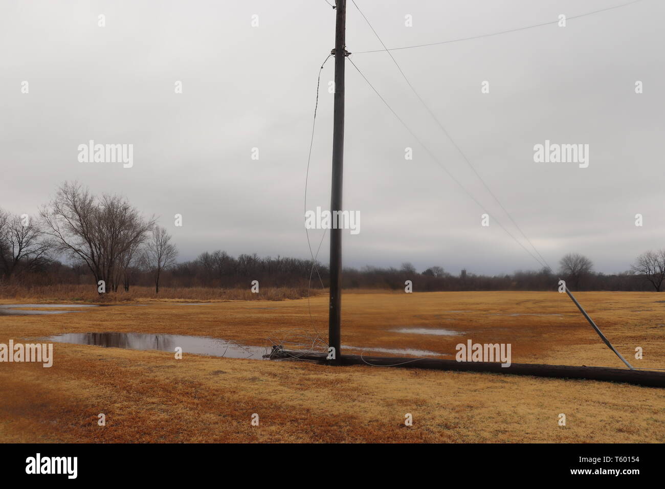 Down power pole in the water Stock Photo - Alamy