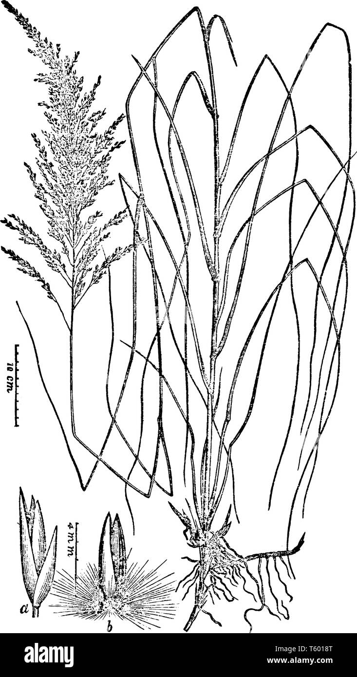 16 4 16 4 cm Black and White Stock Photos & Images - Alamy