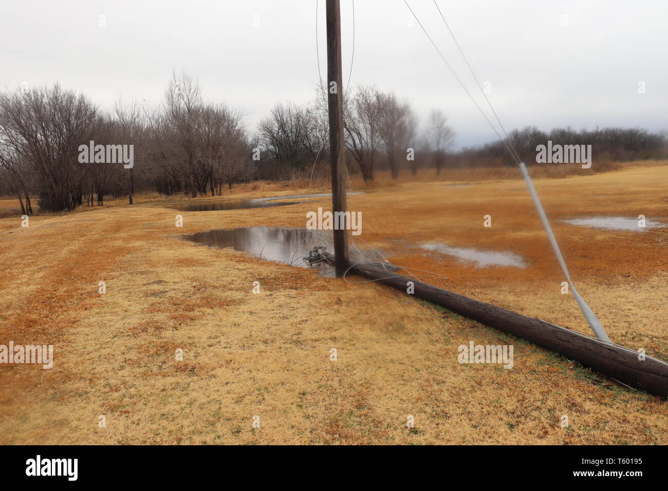 Down power pole in the water Stock Photo - Alamy