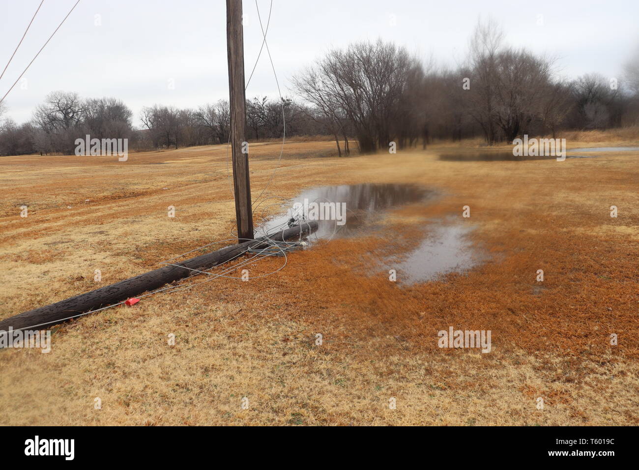 Down power pole in the water Stock Photo - Alamy