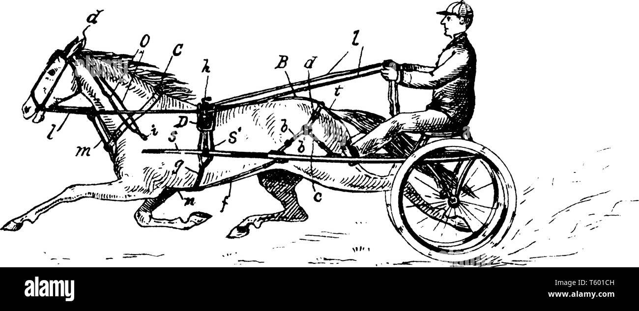 Harness Stock Vector Images - Alamy