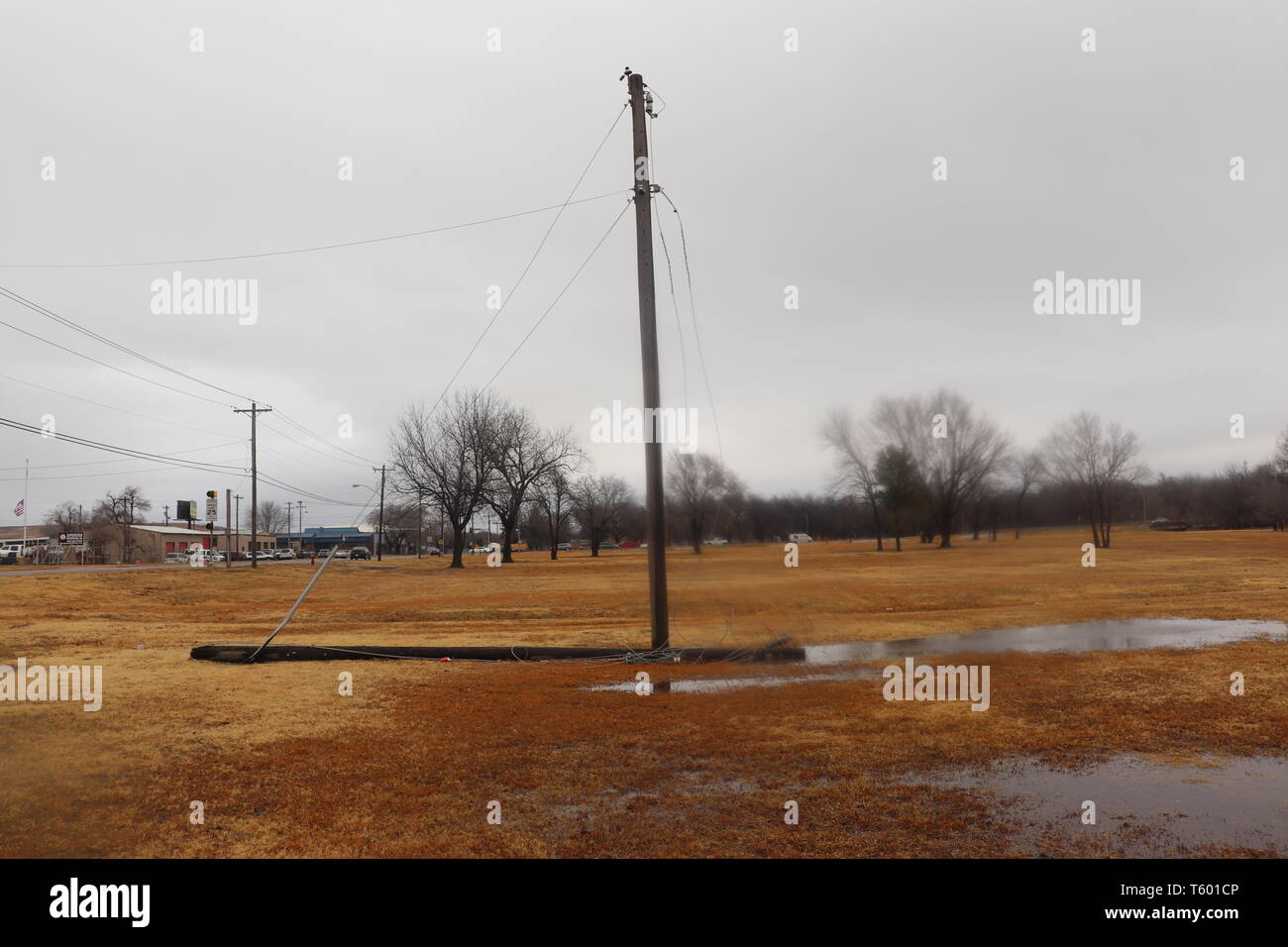Down power pole in the water Stock Photo - Alamy