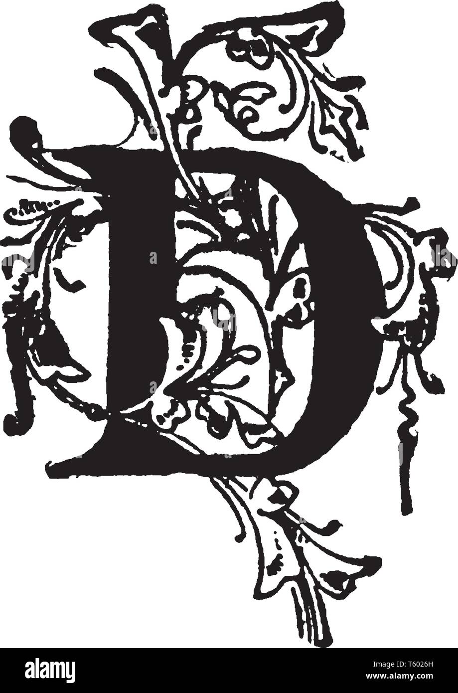 A floral and decorative capital letter D, vintage line drawing or ...