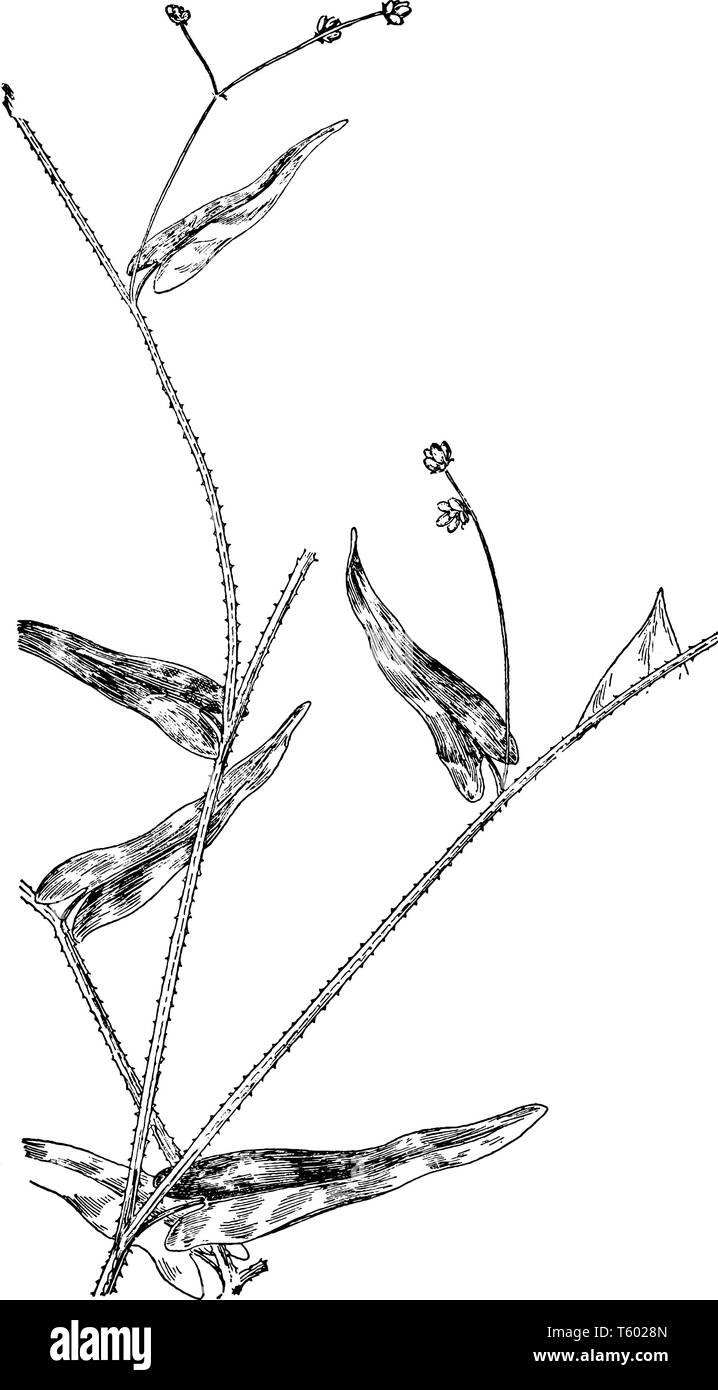 1 6 long Black and White Stock Photos & Images - Alamy