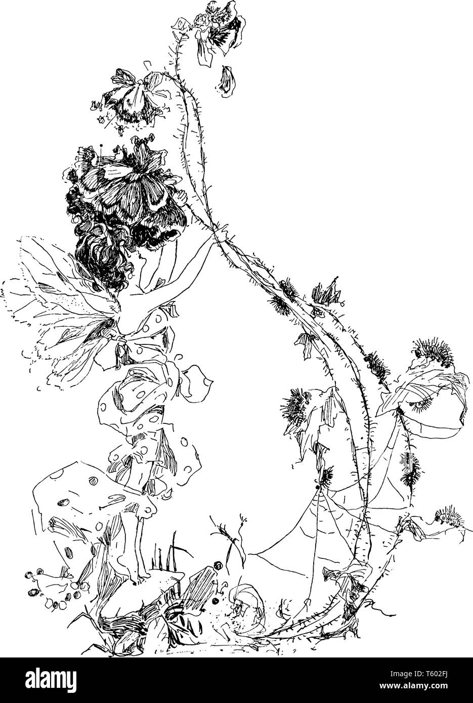 A woman smelling large flower, vintage line drawing or engraving ...