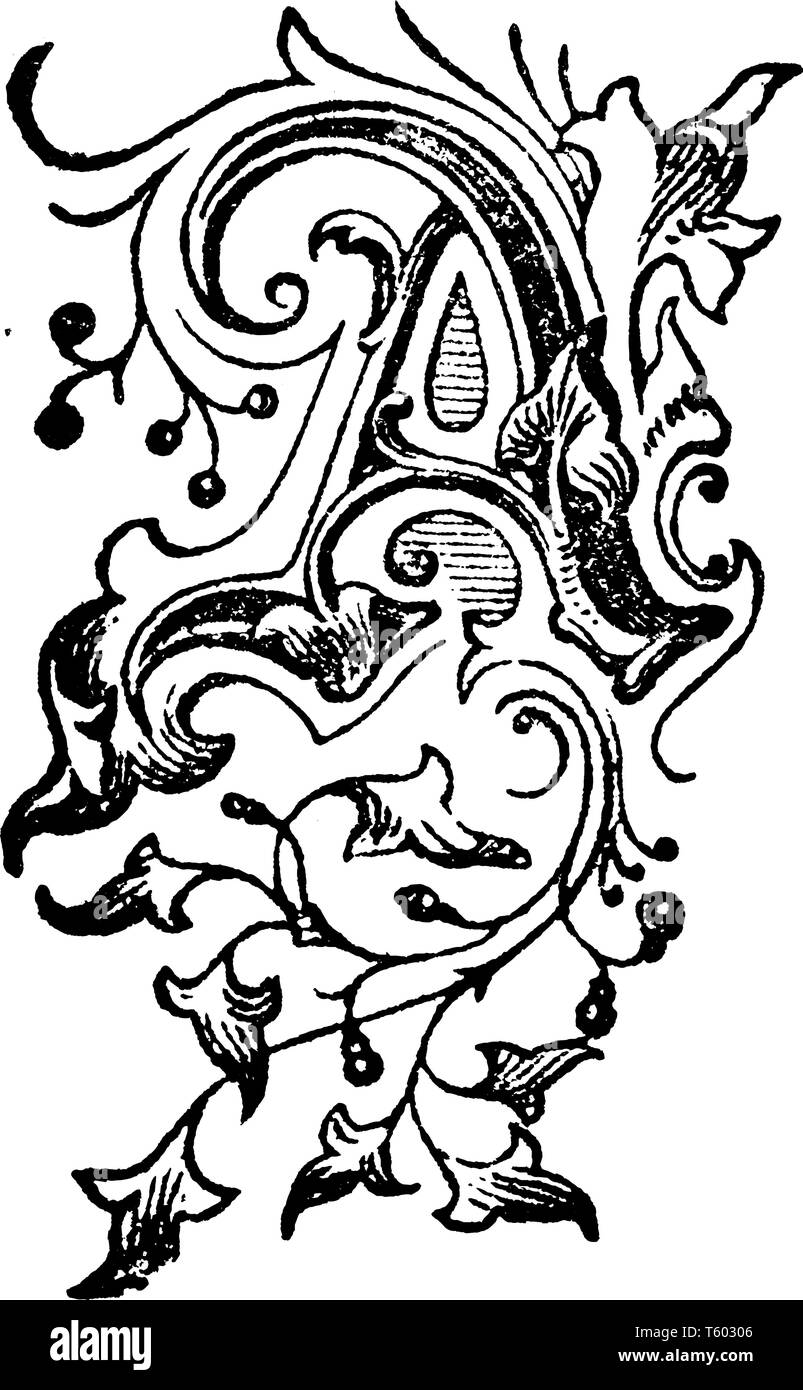 An ornate capital letter A surrounded by leaves and vines, vintage line ...