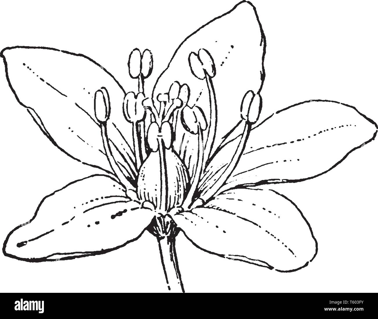 Small pi Cut Out Stock Images & Pictures - Alamy