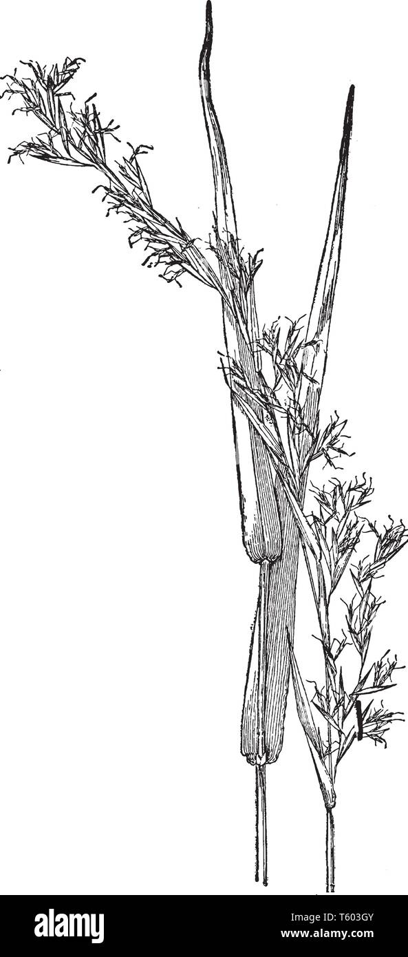 Black cosmetic product in Stock Vector Images - Alamy