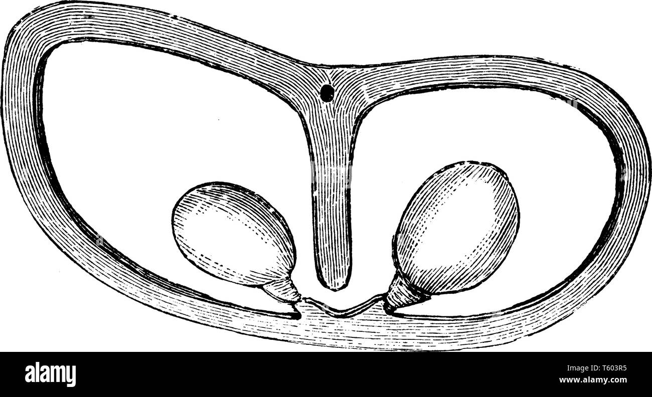 Pulp art hi-res stock photography and images - Alamy