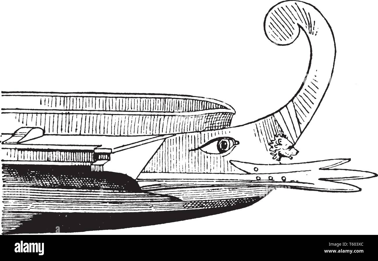Acrostolium is the stern of a ship also the gunwale of a ship the ...