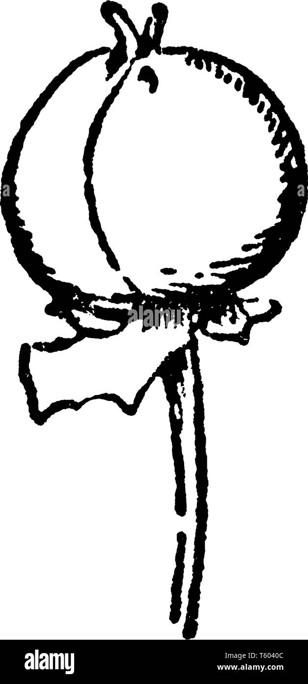 The undeveloped Black and White Stock Photos & Images - Alamy