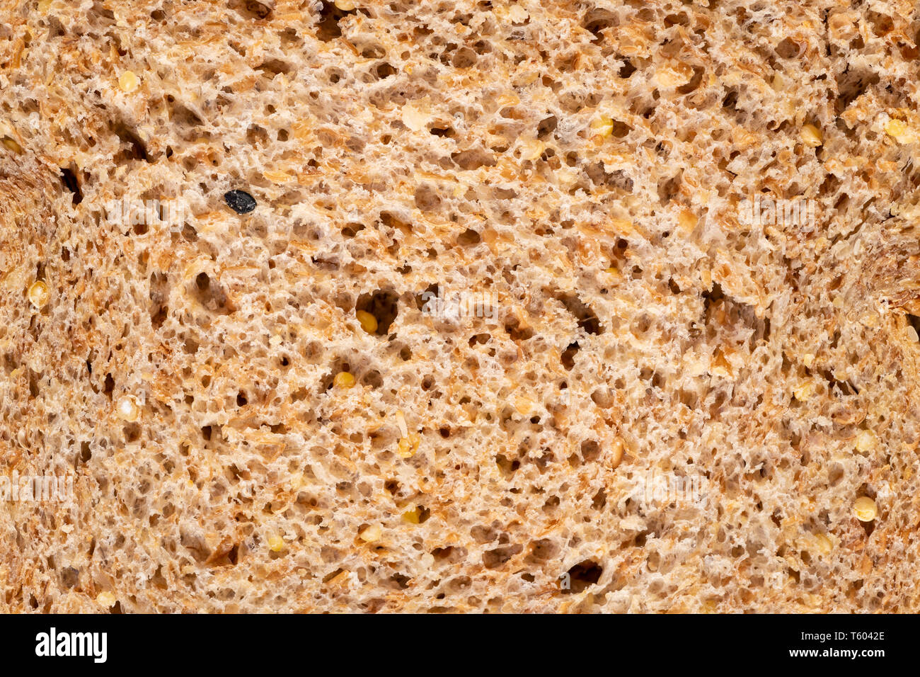 Food texture background of bread made with freshly sprouted organic ...