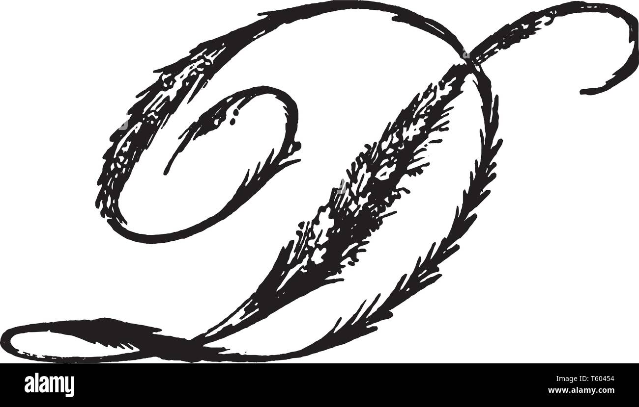 A letter D in ornamental script, vintage line drawing or engraving ...