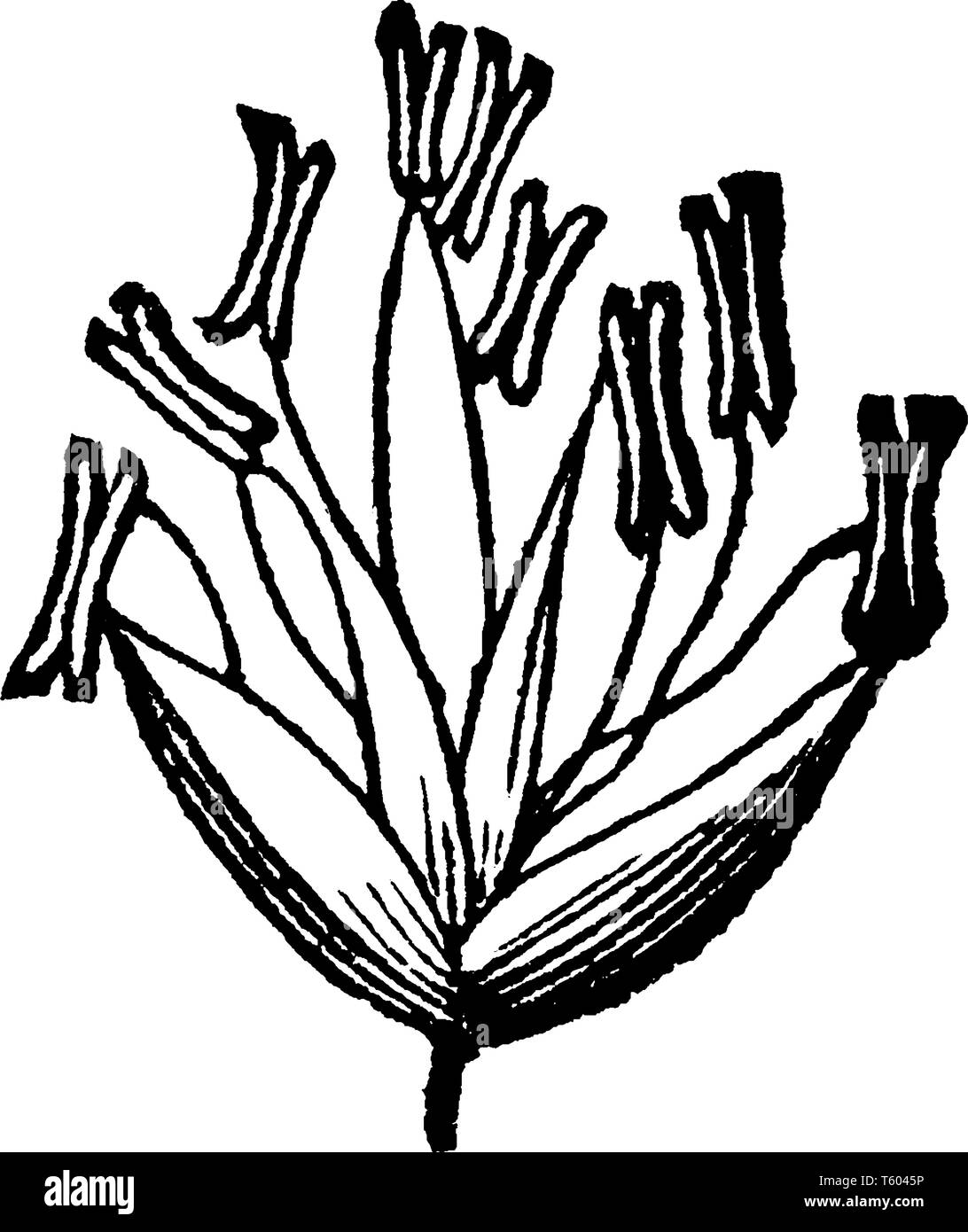 Meadow style Black and White Stock Photos & Images - Alamy