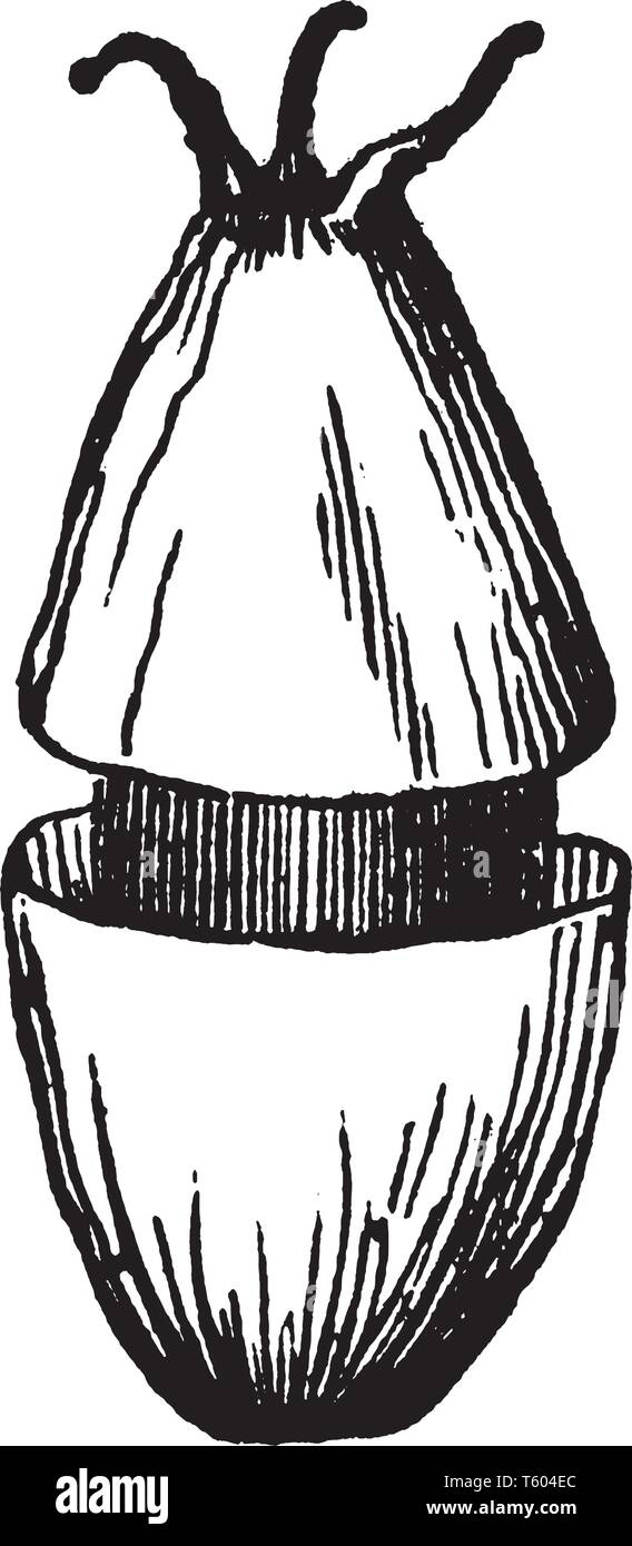 Simple spikes Stock Vector Images - Alamy