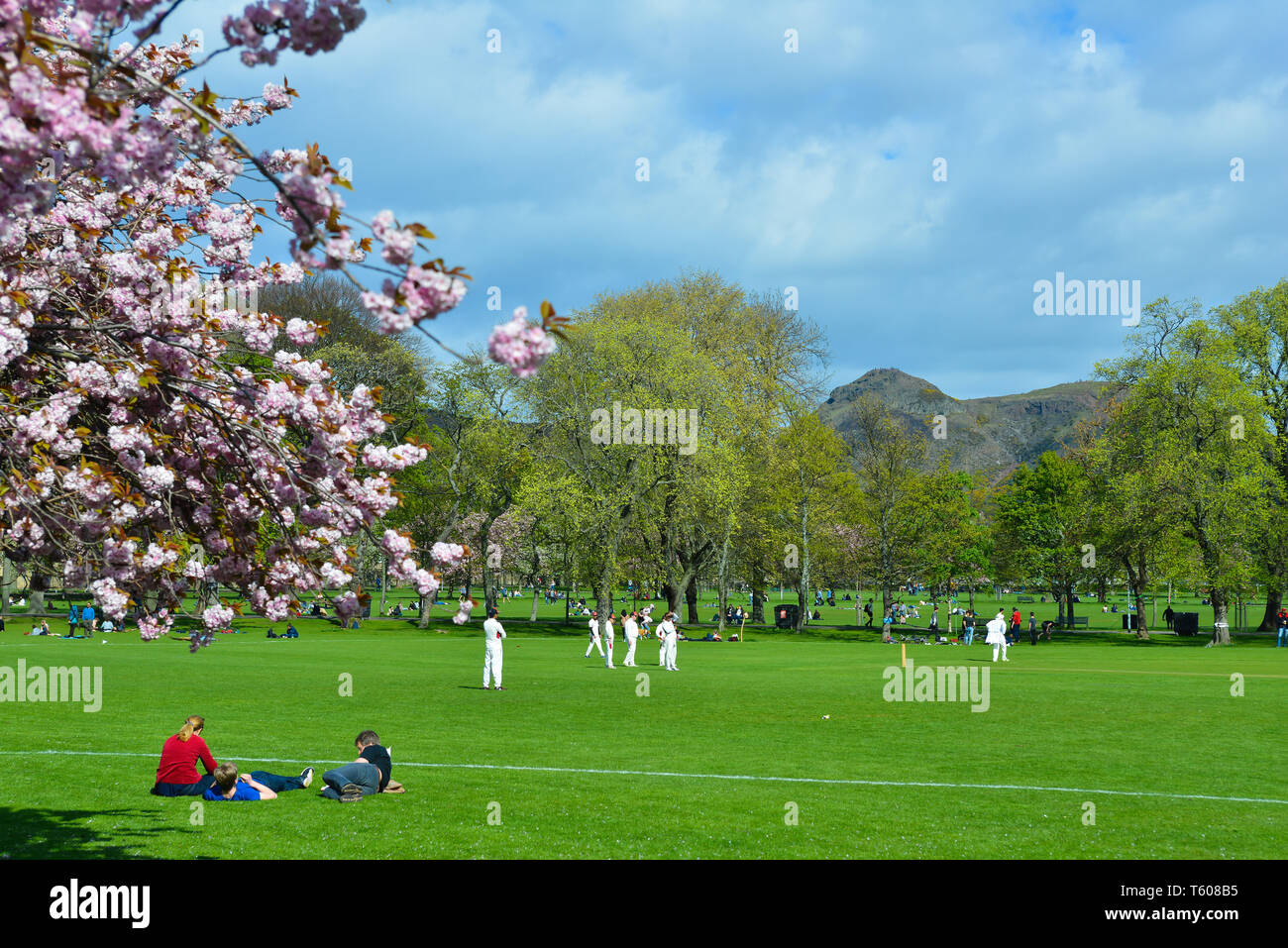 Edinburgh is the capital city of Scotland and one of its 32 council ...