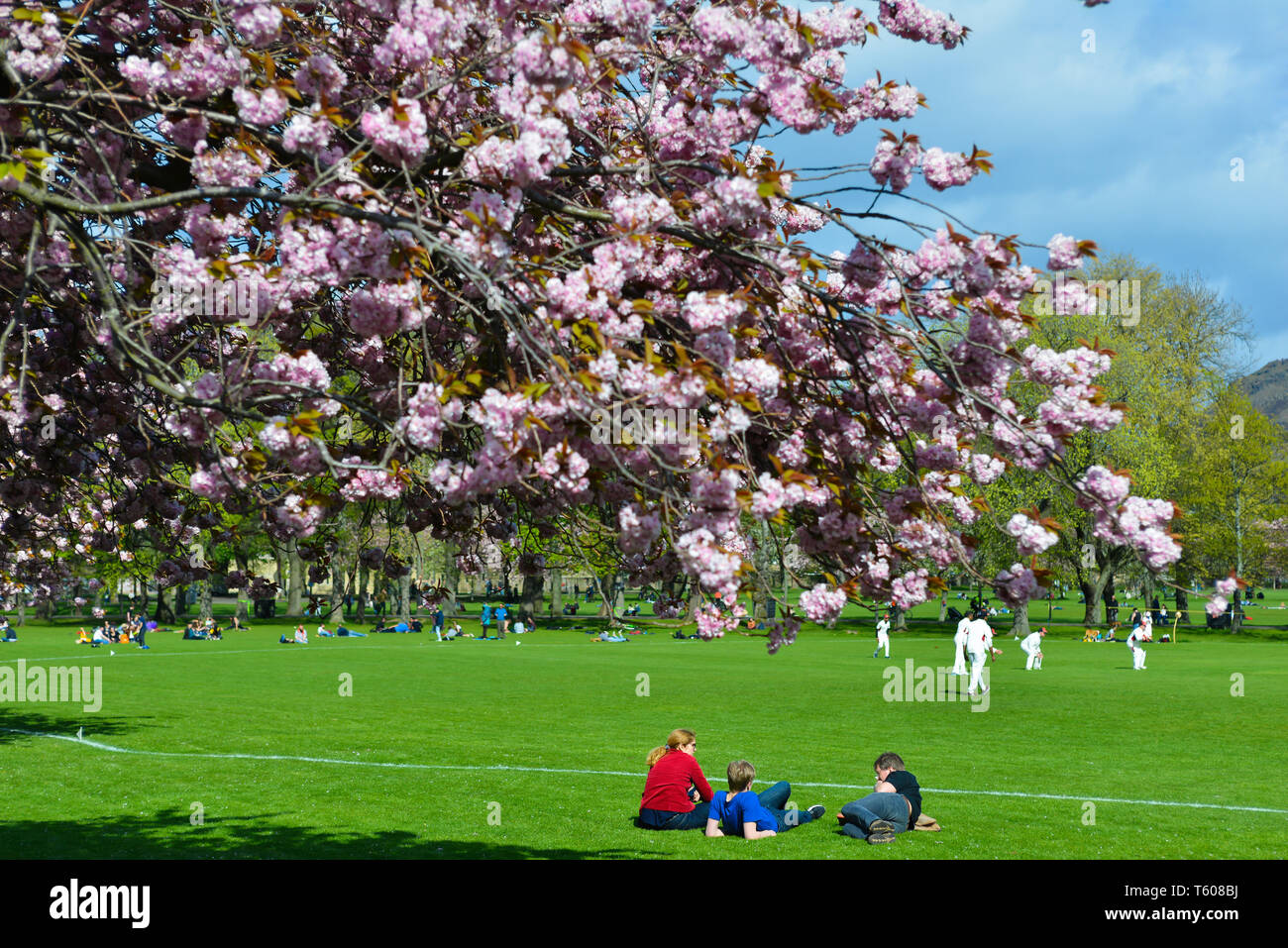 Edinburgh is the capital city of Scotland and one of its 32 council ...