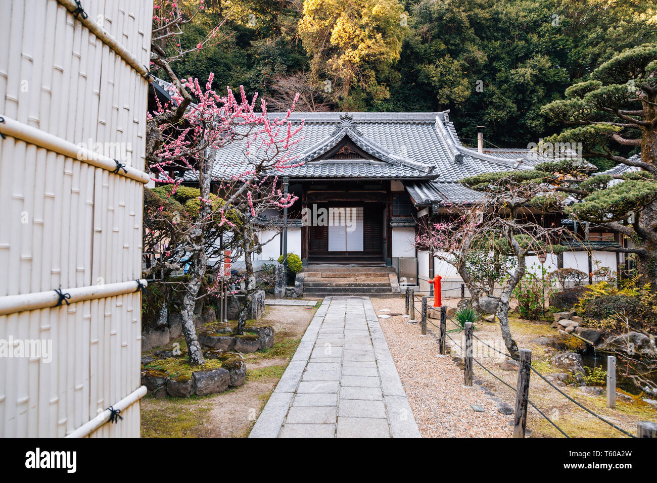 Ikoma hi-res stock photography and images - Alamy