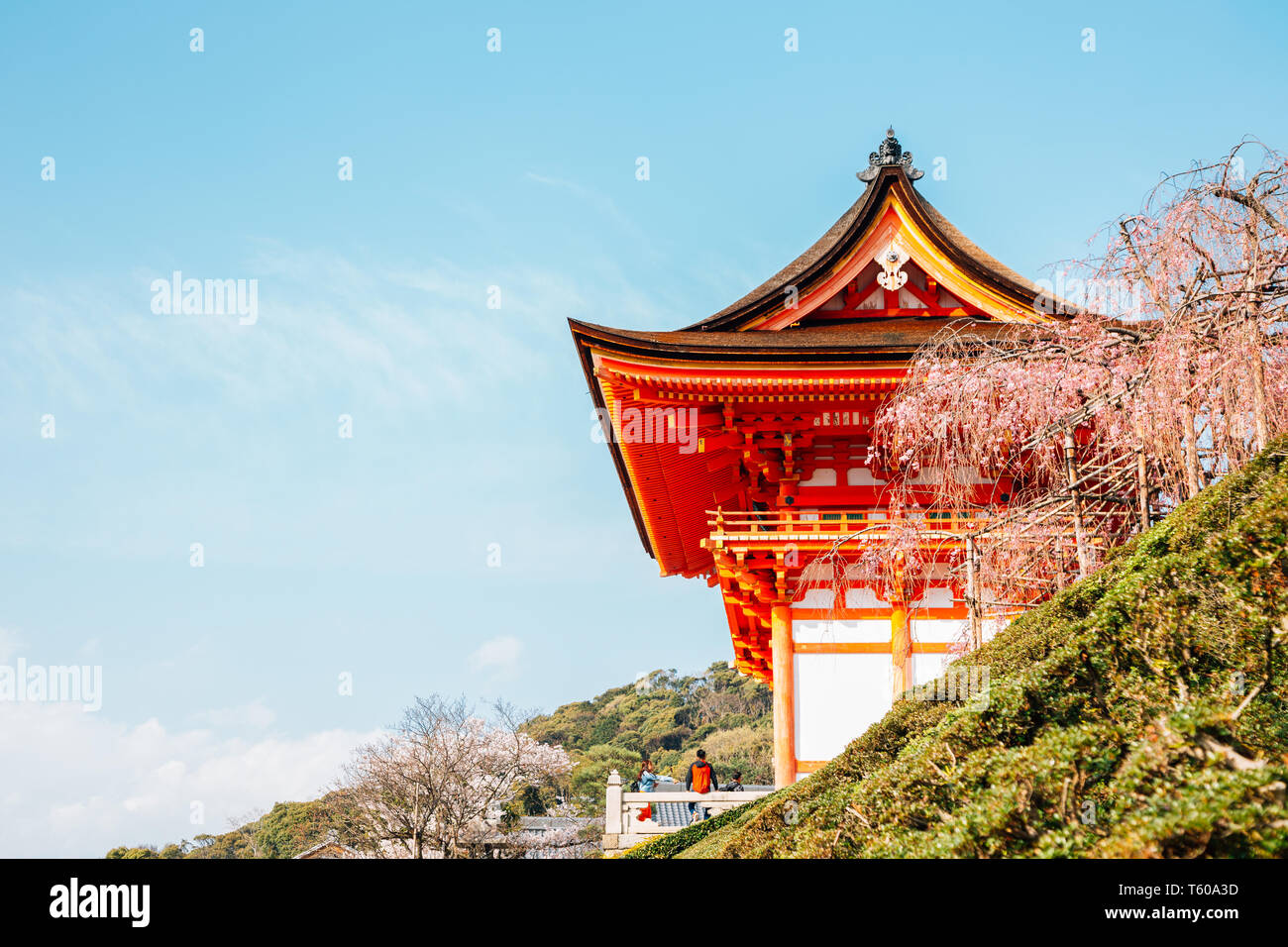 Kiyomizu Dera Temple In Kyoto High Resolution Stock Photography and ...