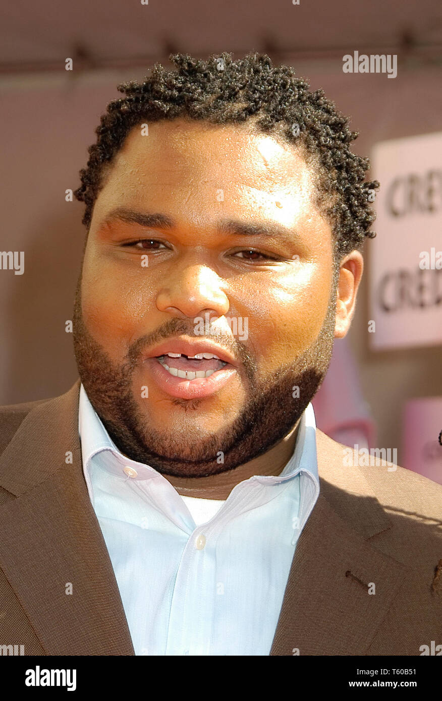 Anthony Anderson, at the 9th Annual Soul Train Lady of Soul Awards held ...