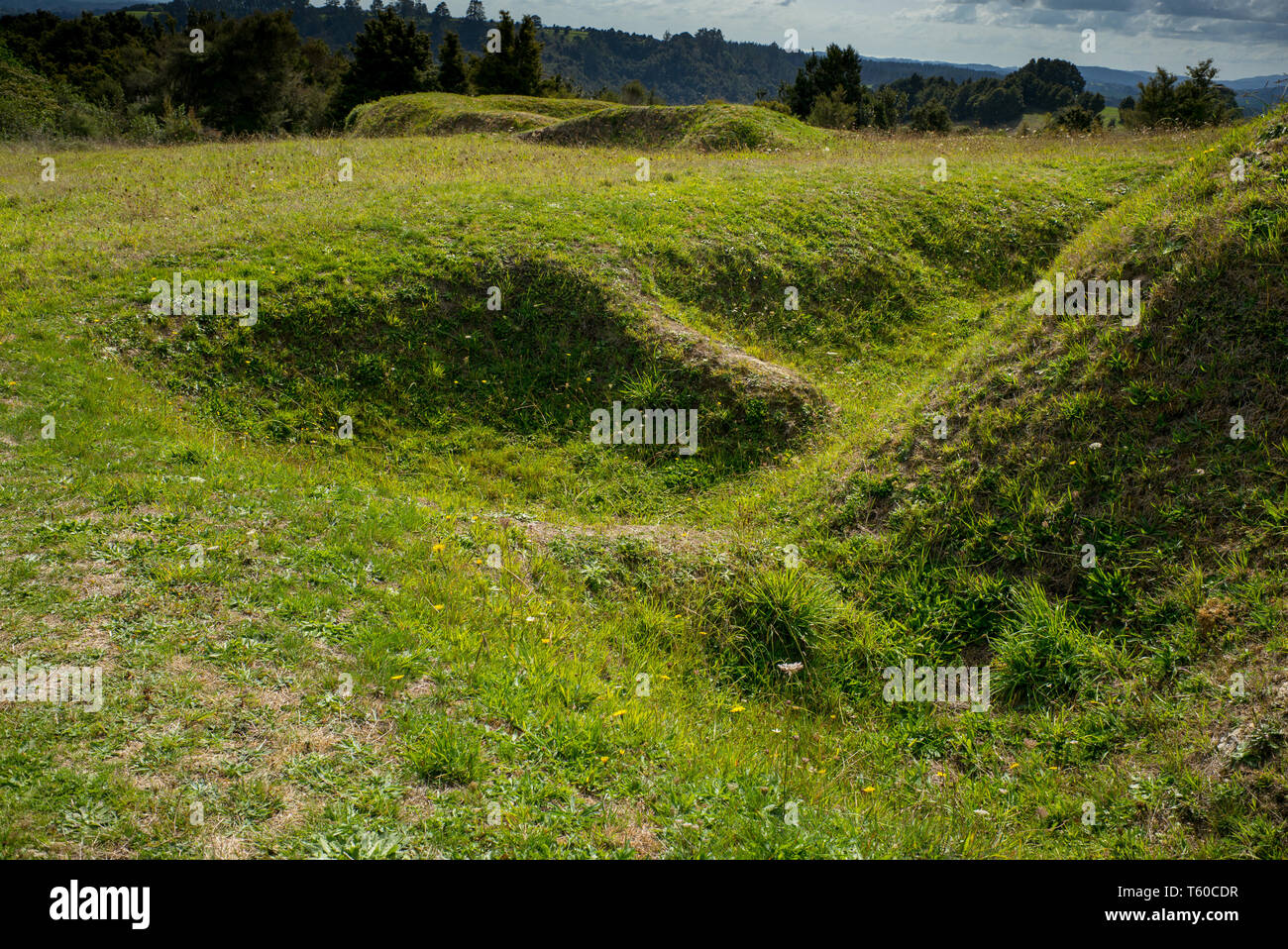 Maori earthworks hi-res stock photography and images - Alamy