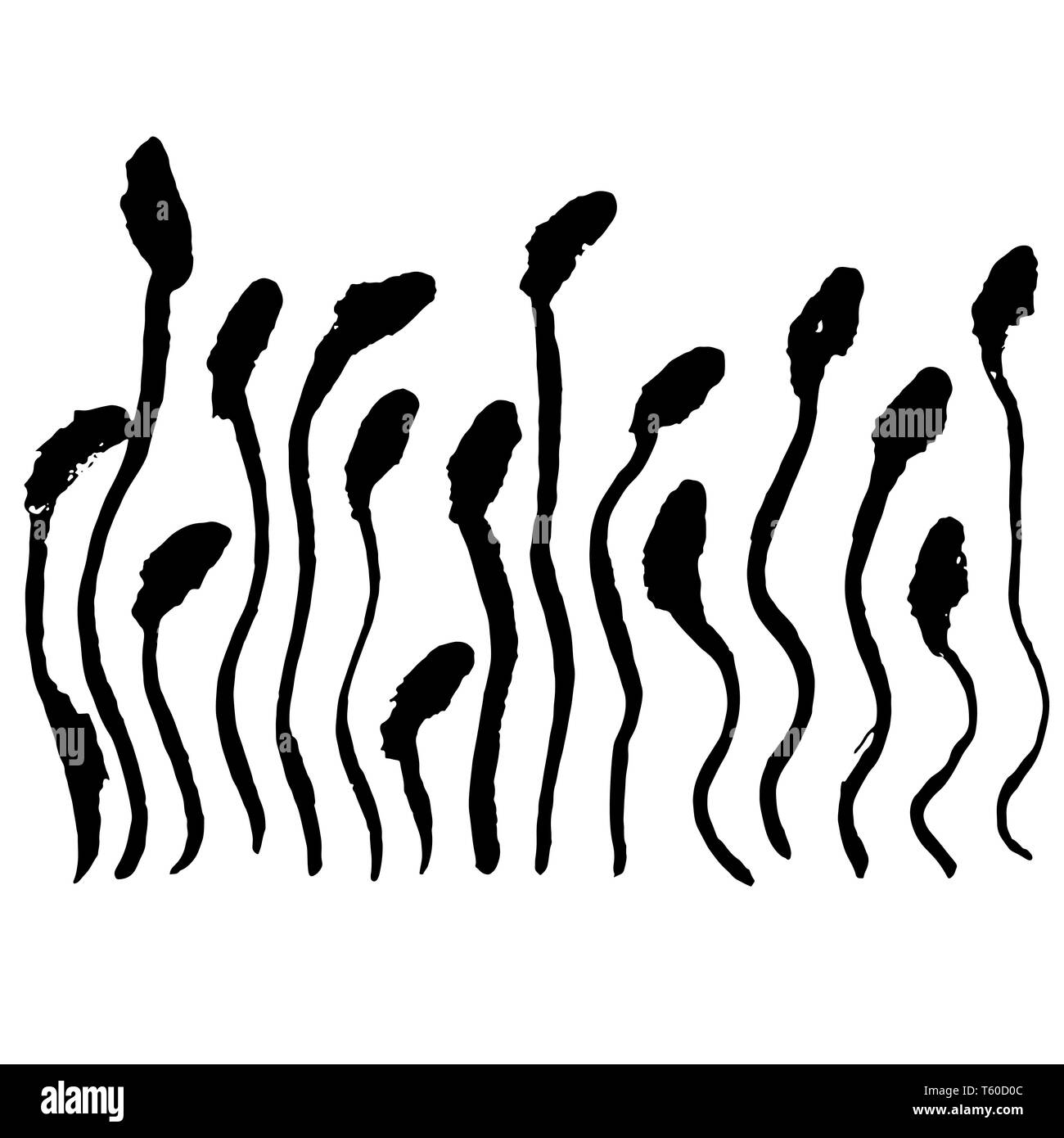 Grunge ink drawing grass border. Leaves hand drawn brush illustration ...