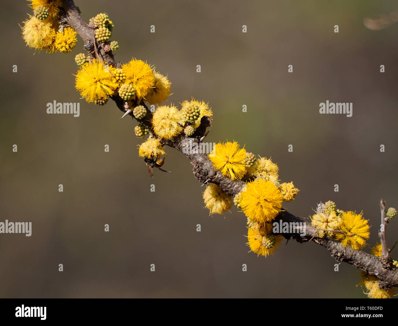 Rio ceballos hi-res stock photography and images - Alamy