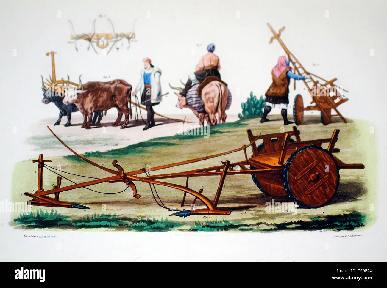 Ferrero della marmora hi-res stock photography and images - Alamy