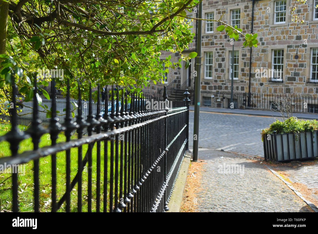 Edinburgh university campus hi-res stock photography and images - Alamy