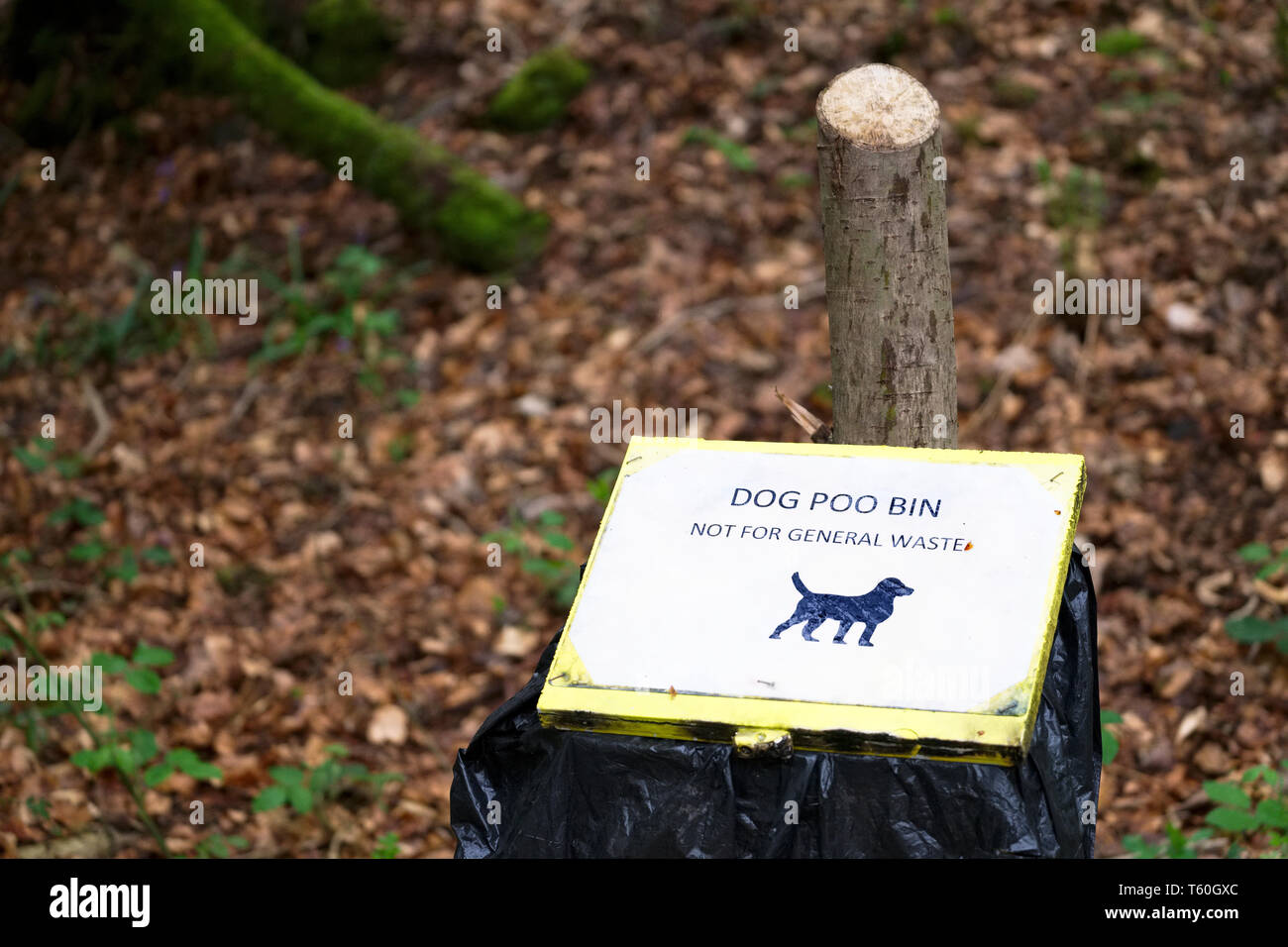 Dog poo bin sign at public woodlands park Stock Photo - Alamy