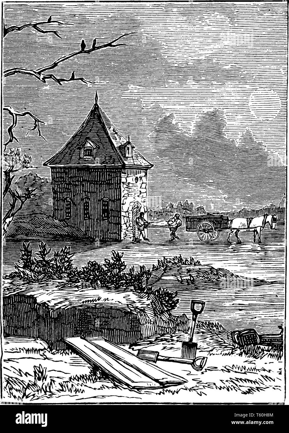 Black Death Plague Illustration Stock Photos & Black Death Plague ...