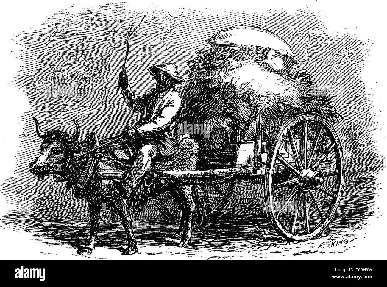A man riding a cart, vintage line drawing or engraving illustration ...