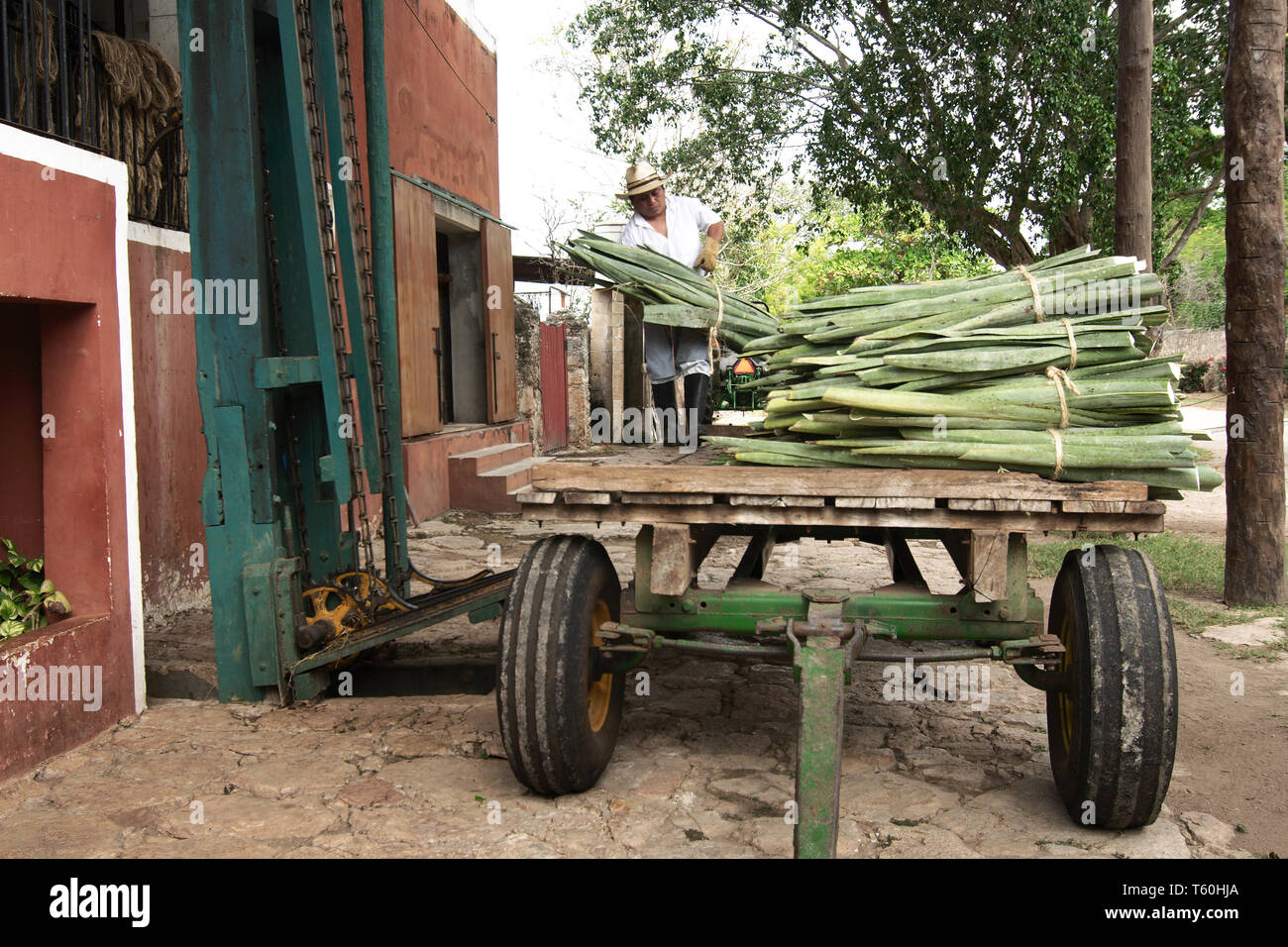 Tecoh, Yucatan, Mexico - 2019: Demonstration of the traditional method ...
