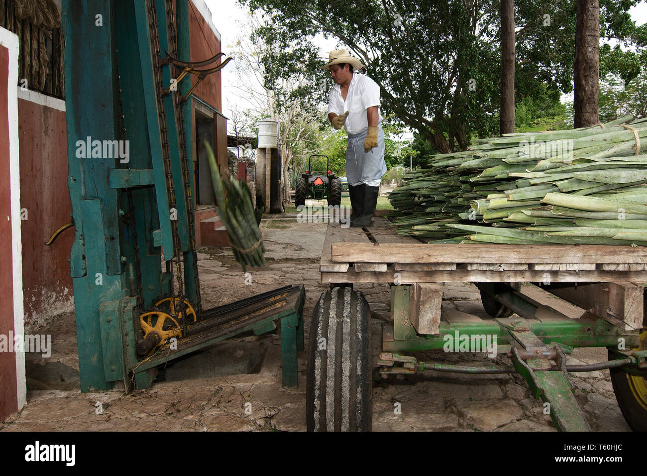 Henequen industry hi-res stock photography and images - Alamy
