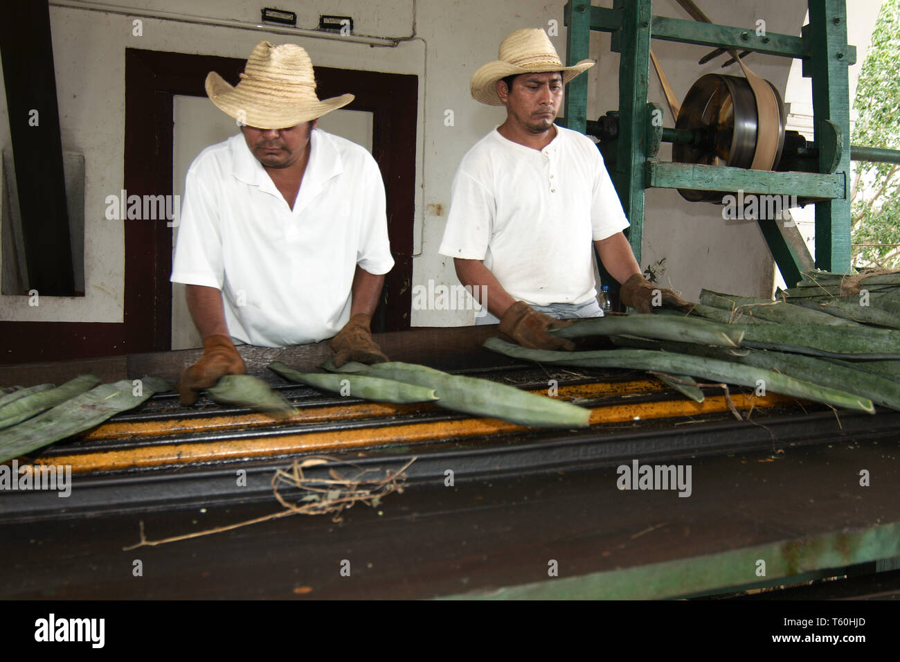 Tecoh, Yucatan, Mexico - 2019: Demonstration of the traditional method ...
