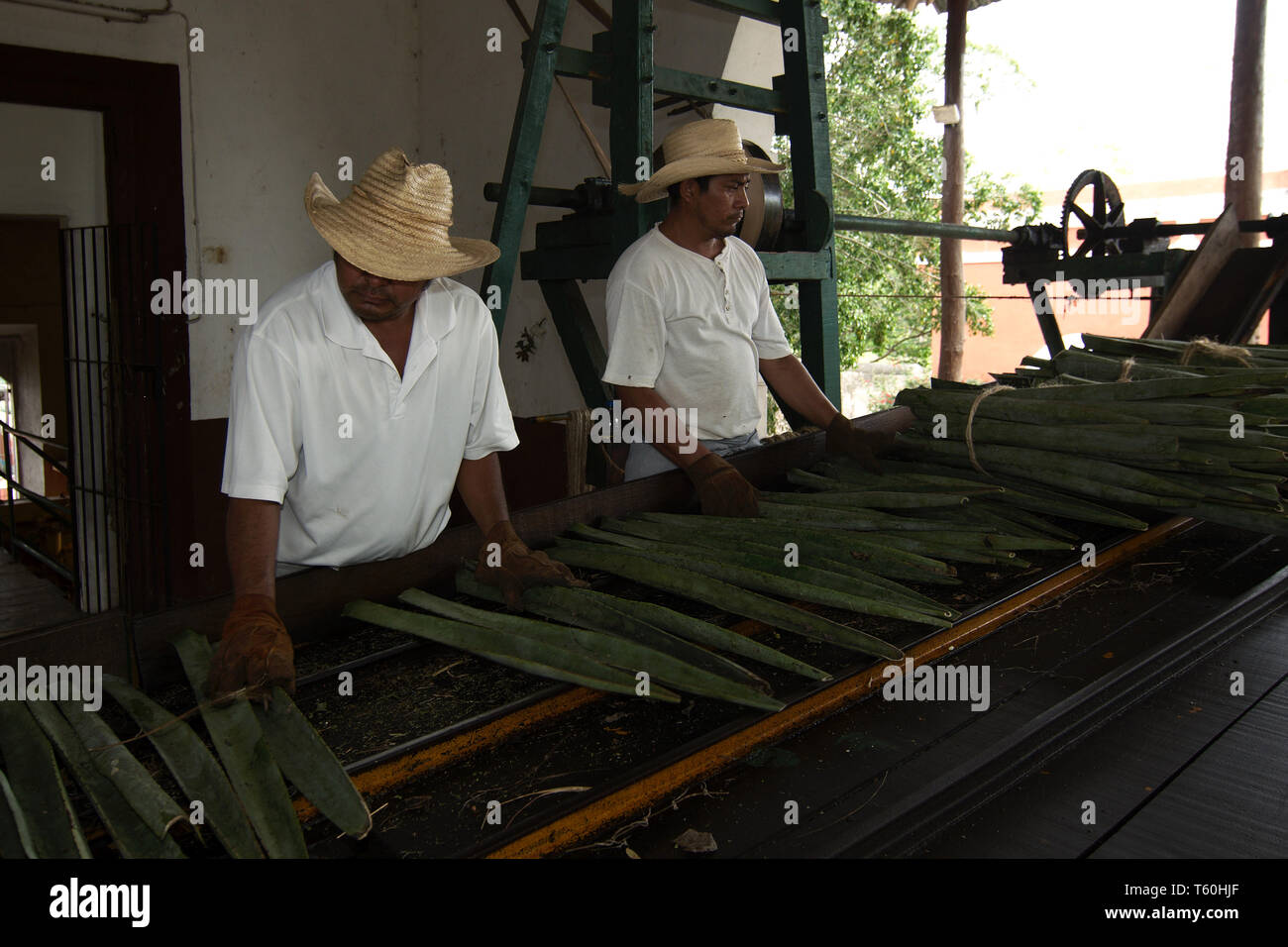 Tecoh, Yucatan, Mexico - 2019: Demonstration of the traditional method ...