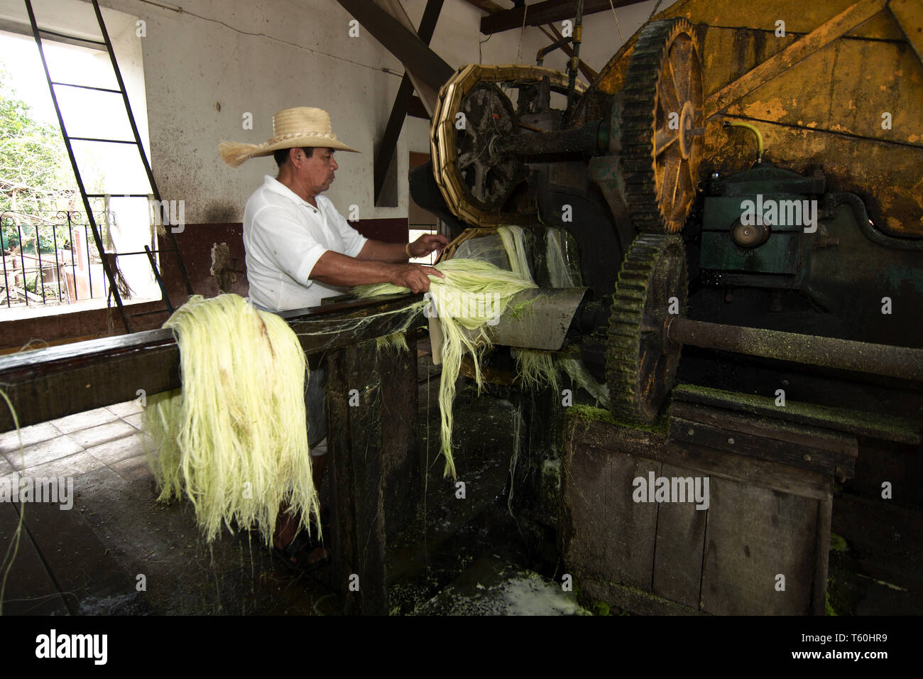 Tecoh, Yucatan, Mexico - 2019: Demonstration of the traditional method ...