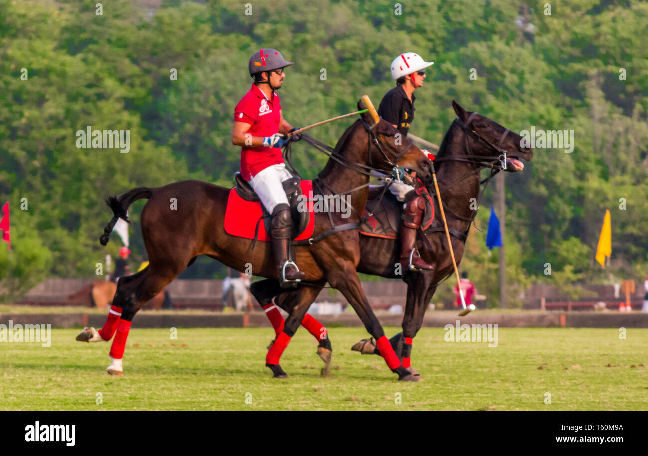 Players playing a polo match in a polo ground on a green field Stock ...