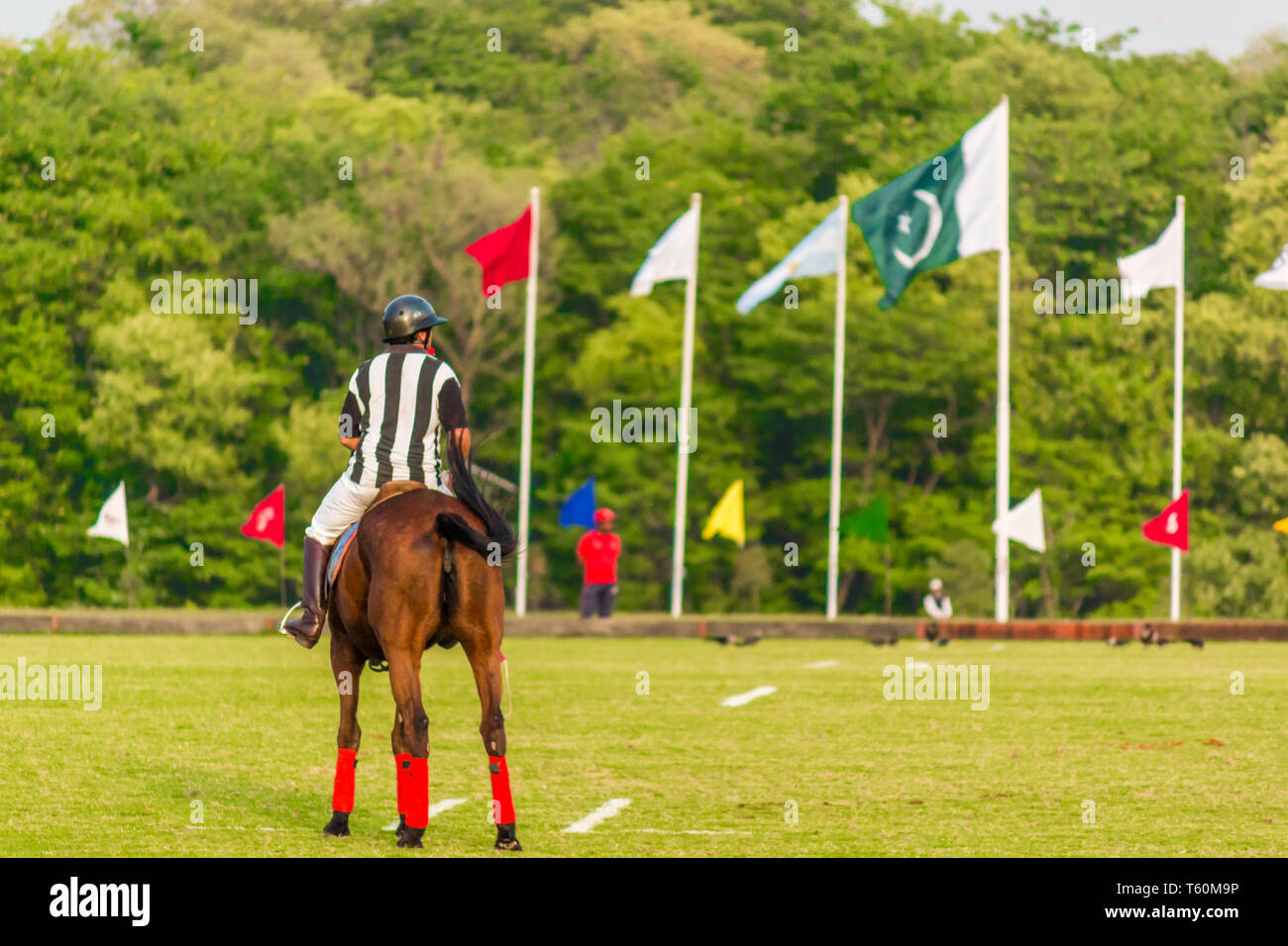 Players playing a polo match in a polo ground on a green field Stock ...