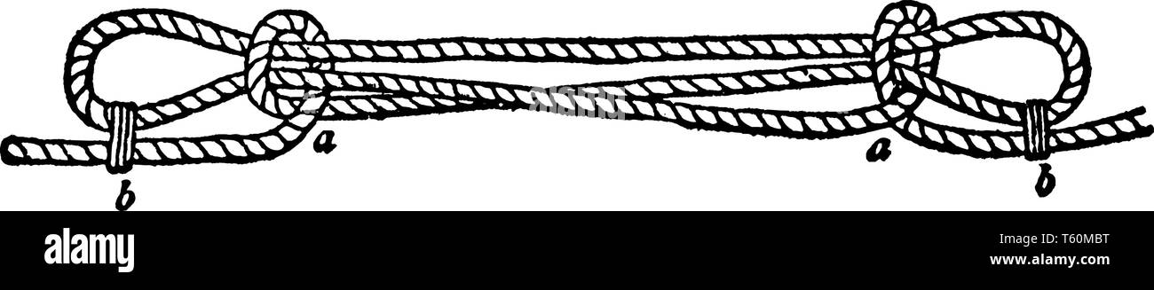 Sheep in back Black and White Stock Photos & Images - Alamy