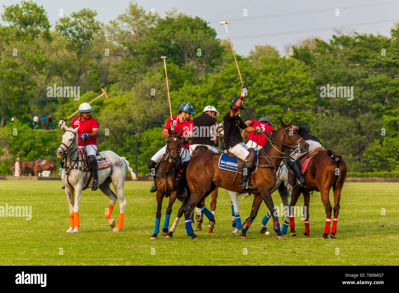 Players playing a polo match in a polo ground on a green field Stock ...