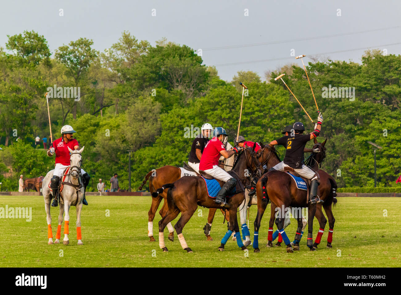 Players playing a polo match in a polo ground on a green field Stock ...