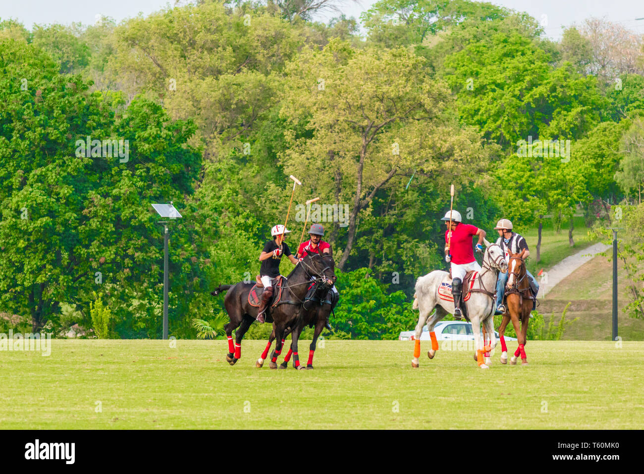 Players playing a polo match in a polo ground on a green field Stock ...